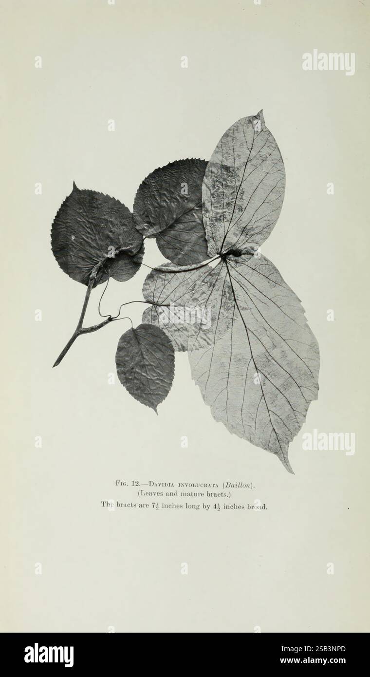 Scale reference indicating hi-res stock photography and images - Alamy