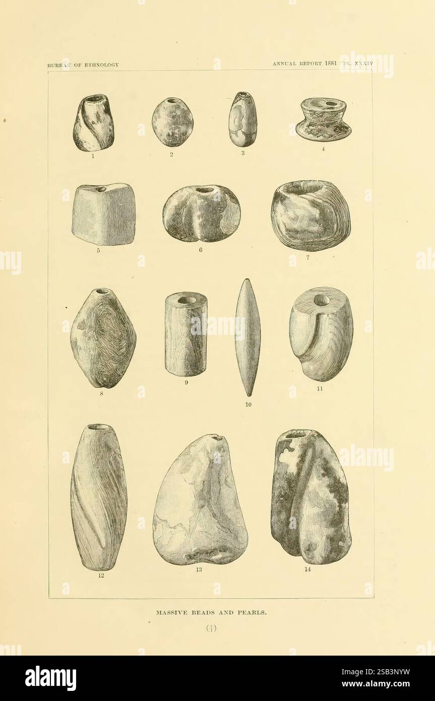 Art in shell of the ancient Americans Washington, Govt. Print, 1883 ...