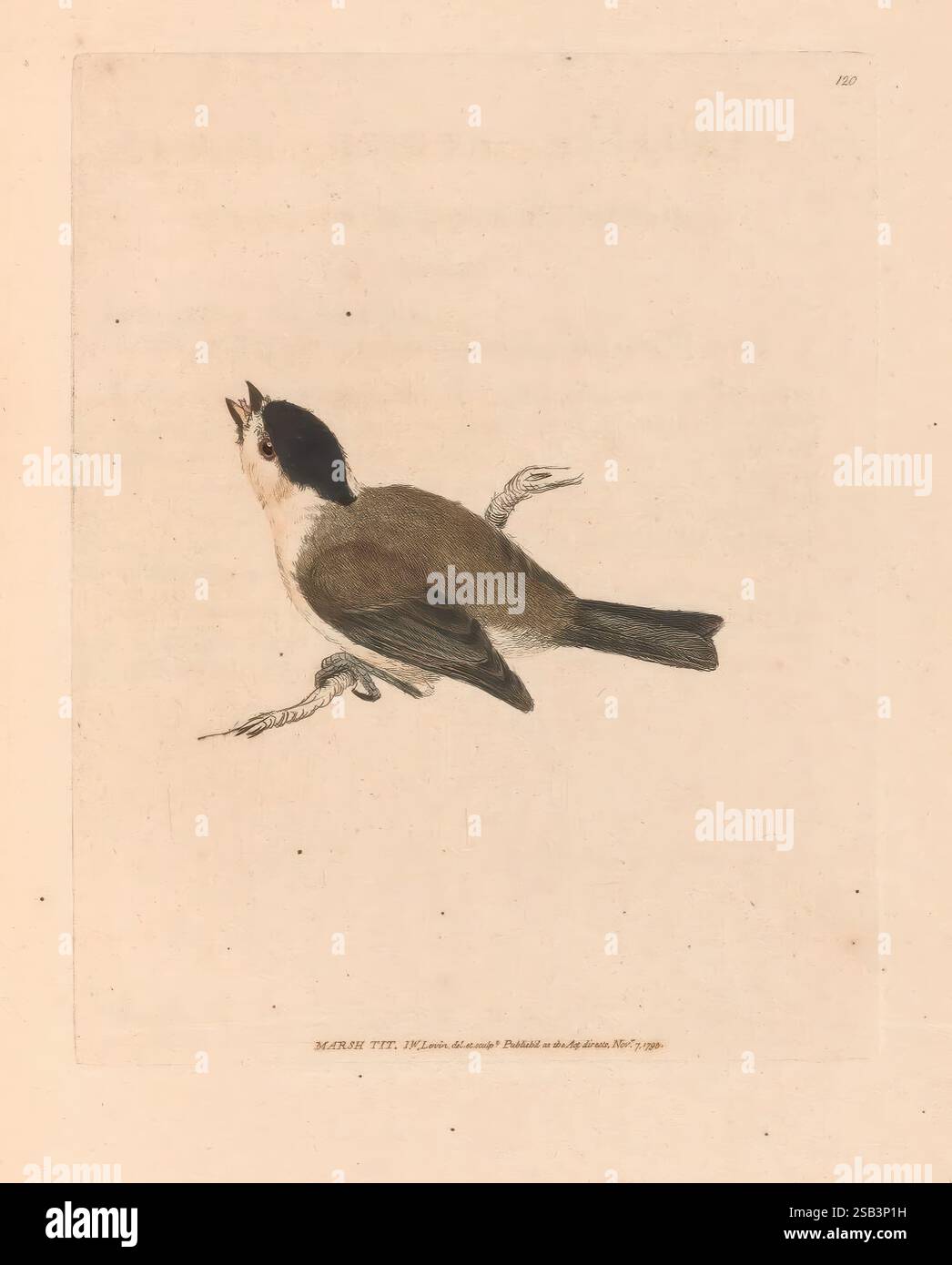 Artistic caption identifies hi-res stock photography and images - Alamy