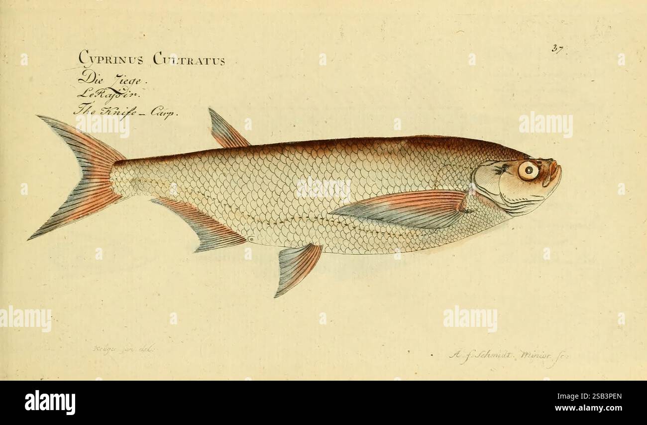 Annotations detail information hi-res stock photography and images - Alamy