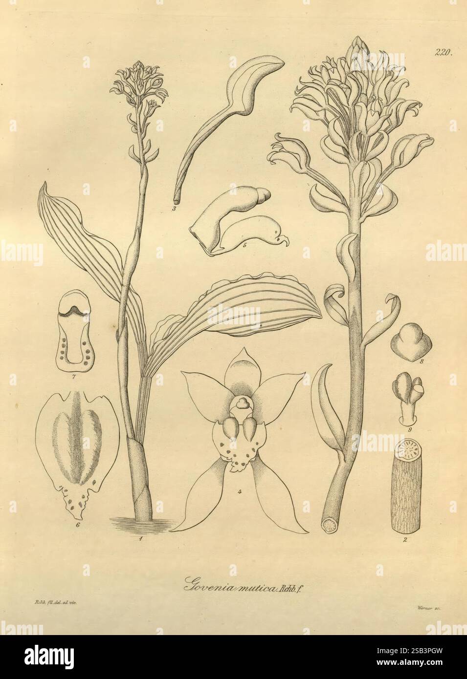 Unique column structure central hi-res stock photography and images - Alamy