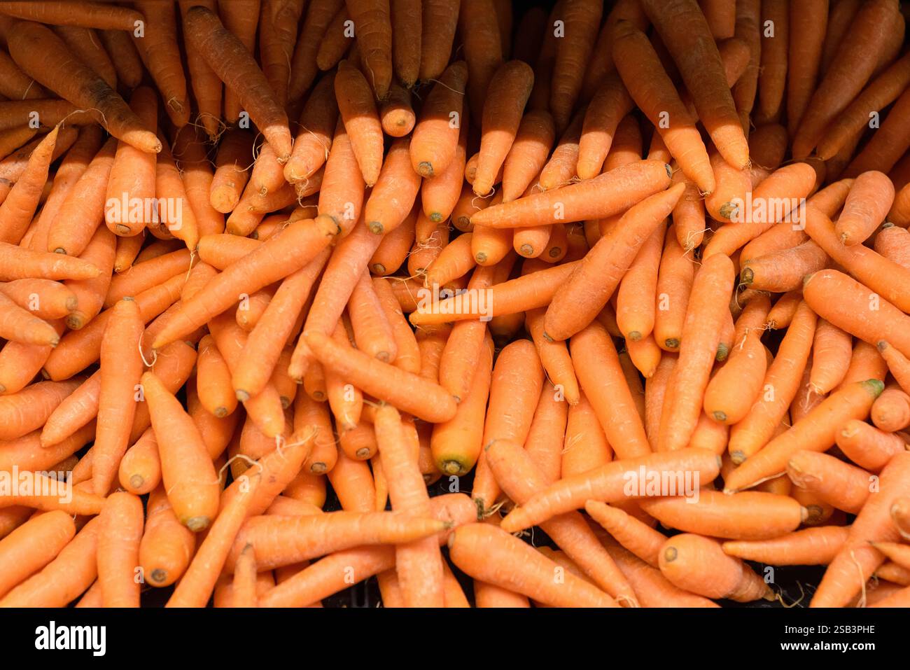 Group of carrots stacked on a supermarket shelf Stock Photo - Alamy