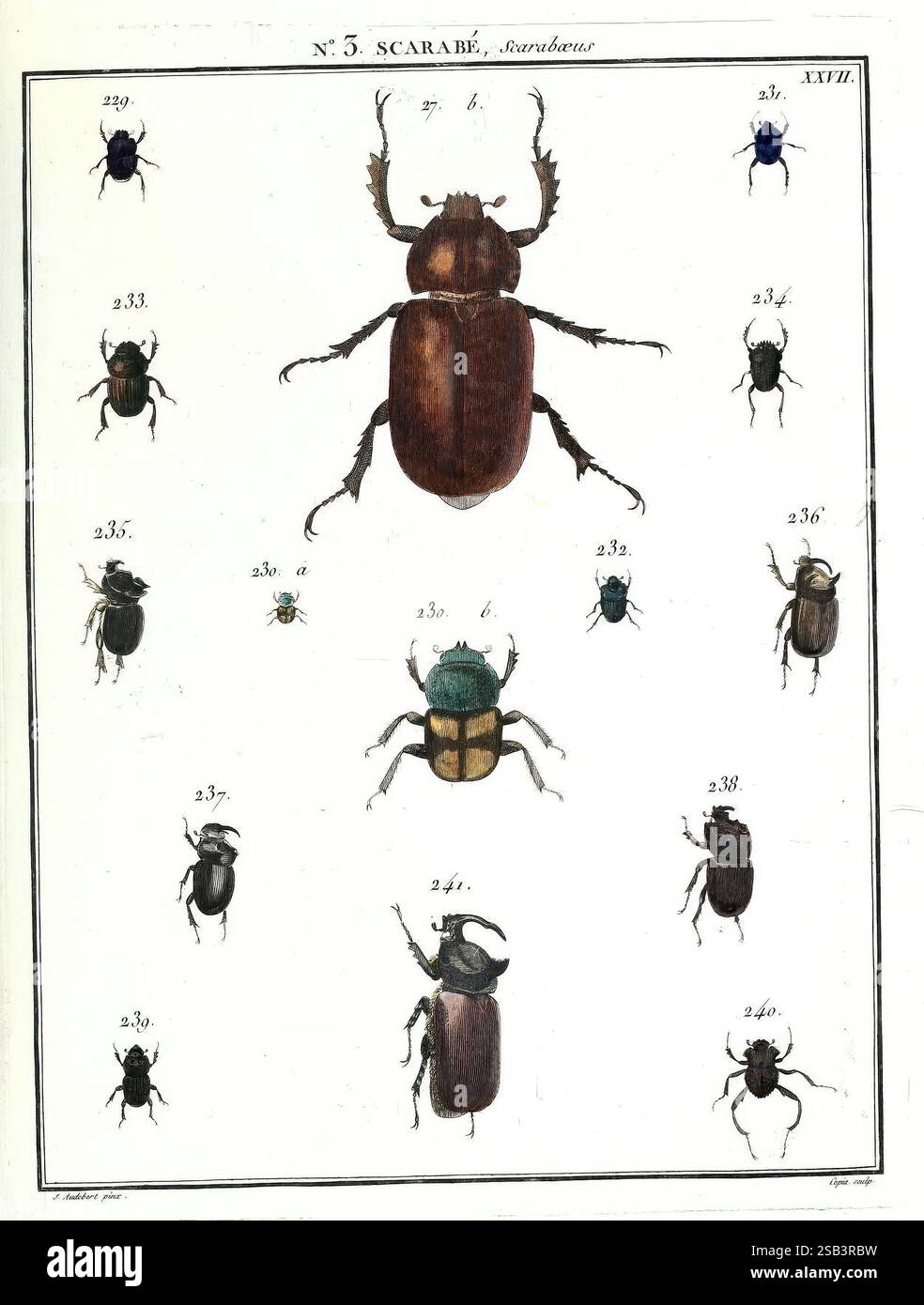 Figure prominently presenting hi-res stock photography and images - Alamy