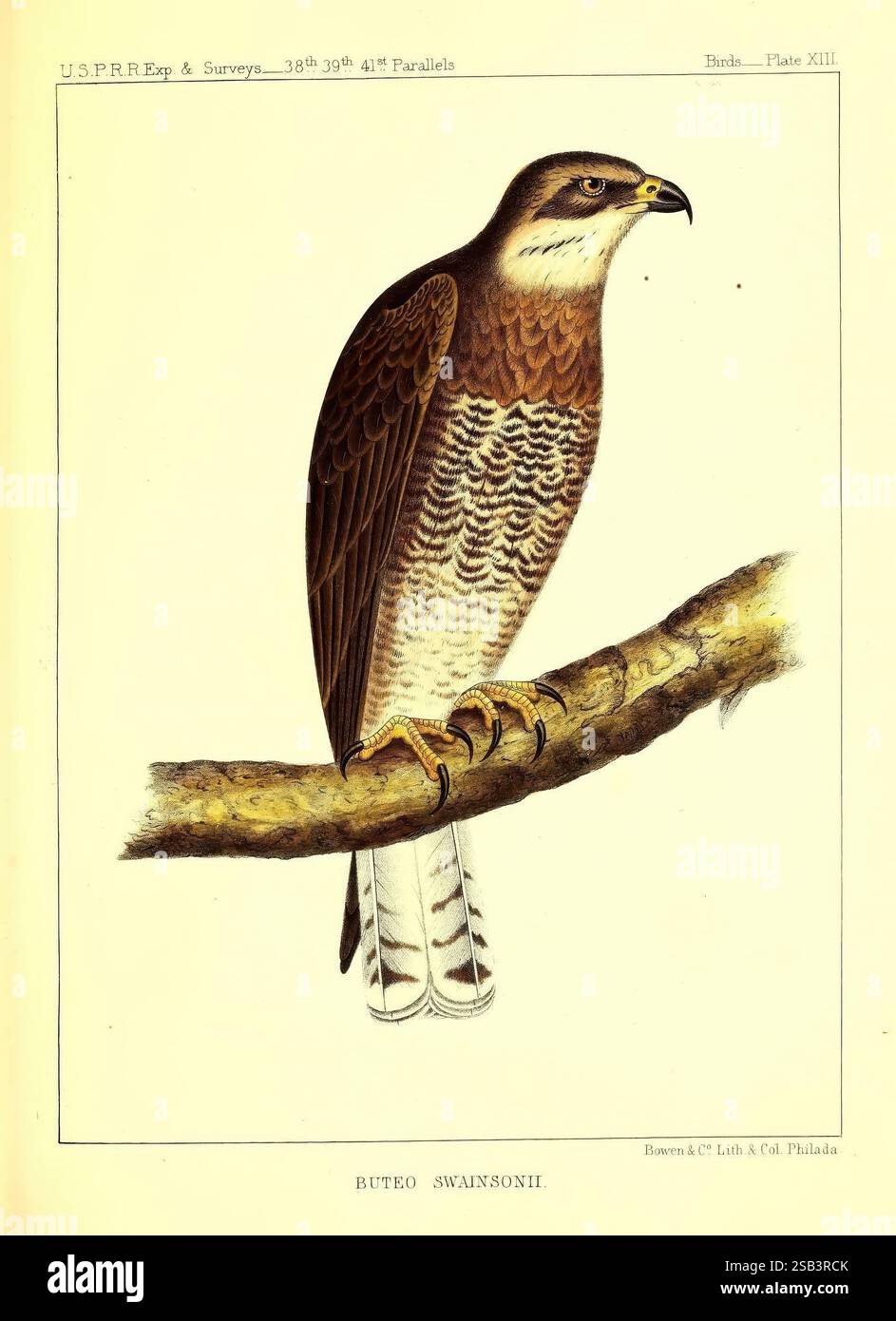 Lighter streaks across hi-res stock photography and images - Alamy