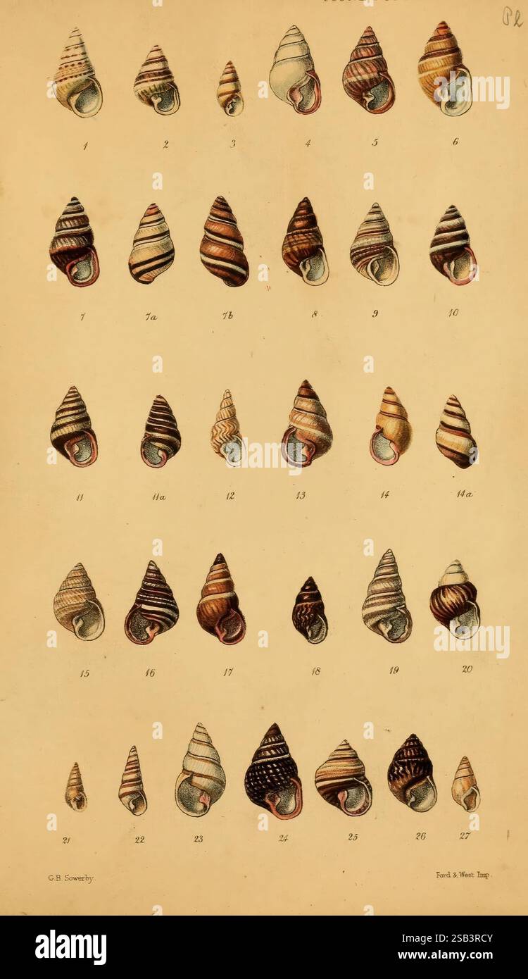 Distinct color palettes hi-res stock photography and images - Alamy