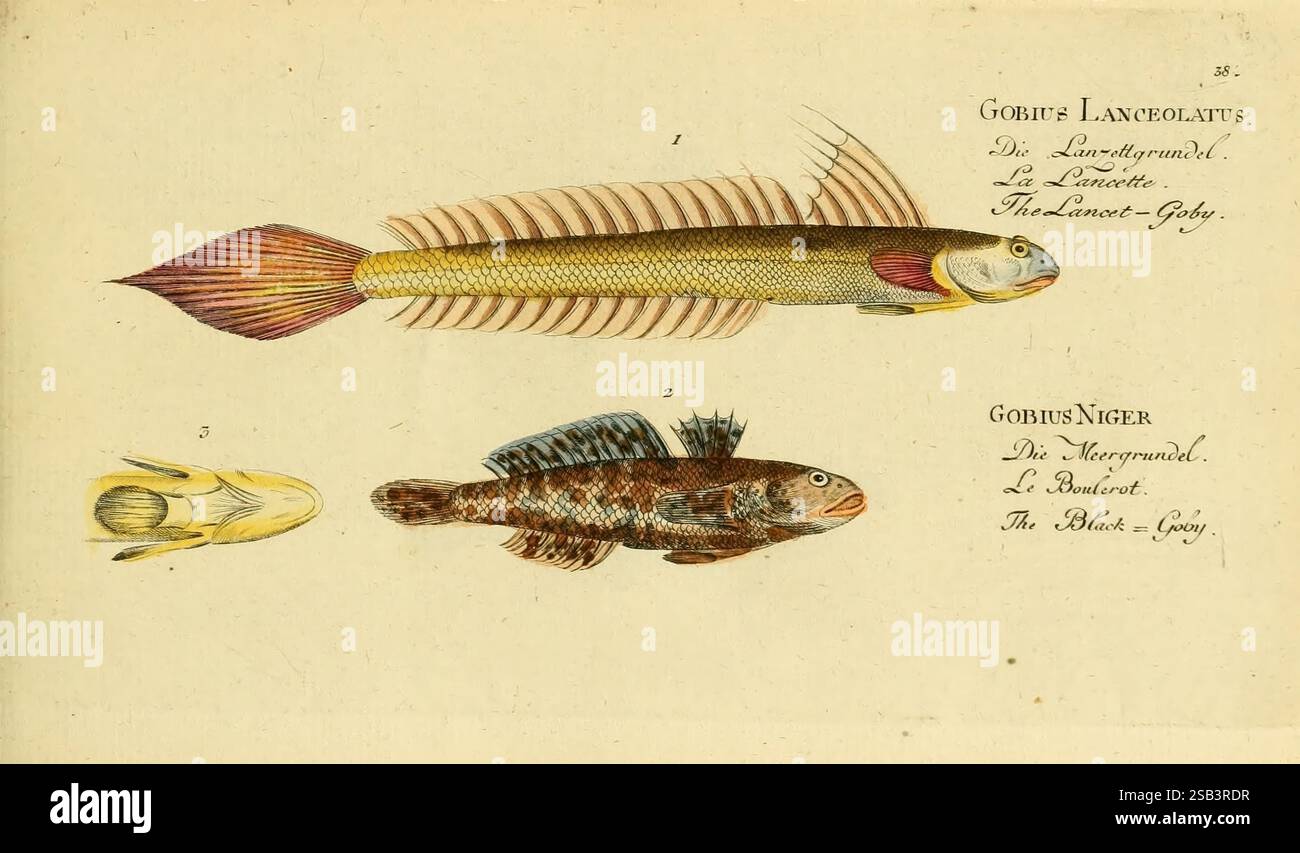 Featuring darker hues hi-res stock photography and images - Alamy