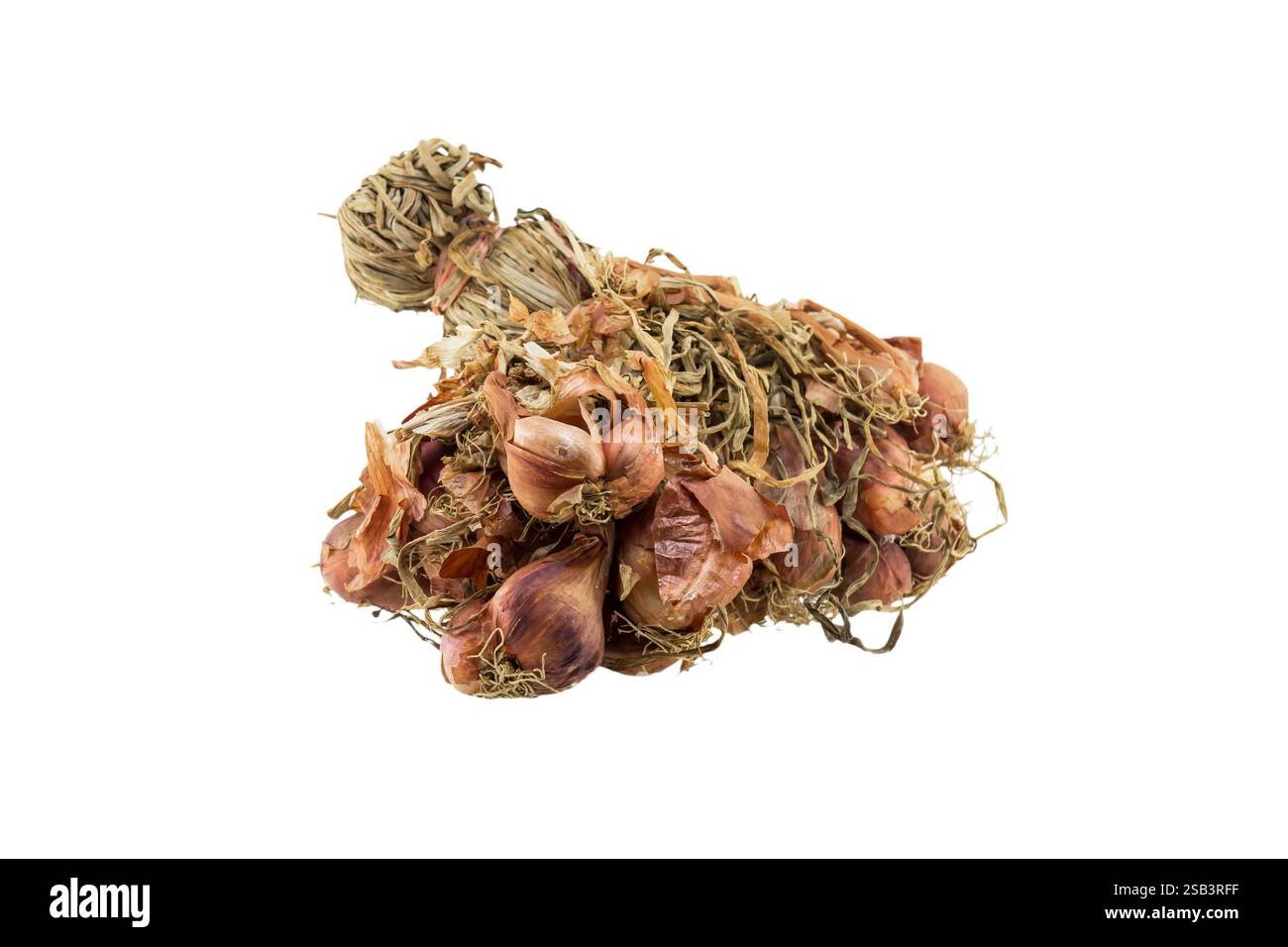 Shallot bundle isolated on white background Stock Photo - Alamy
