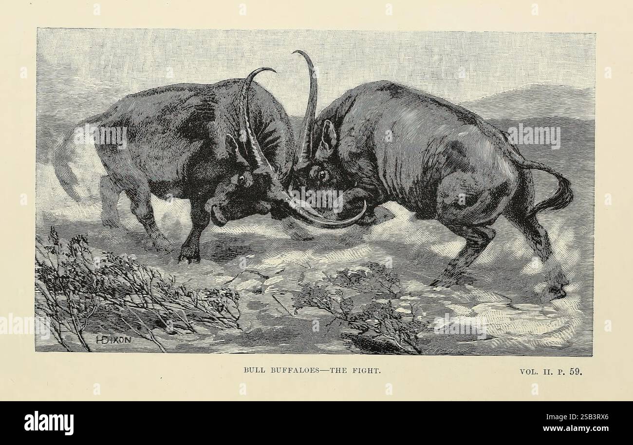 Wild beasts and their ways London, Macmillan, 1890. Animal behavior ...