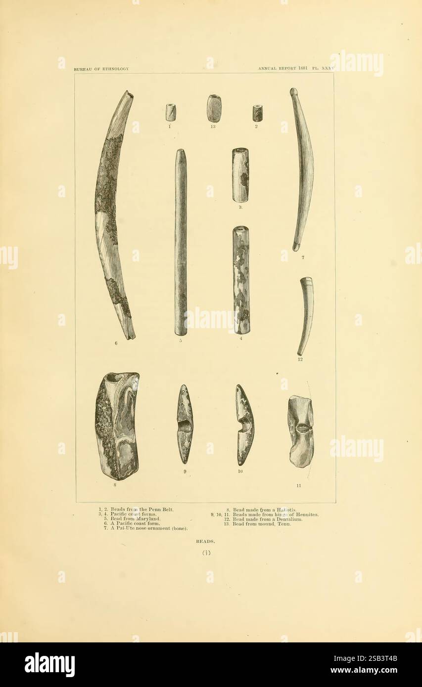 Art in shell of the ancient Americans, Washington, Govt. Print, 1883 ...
