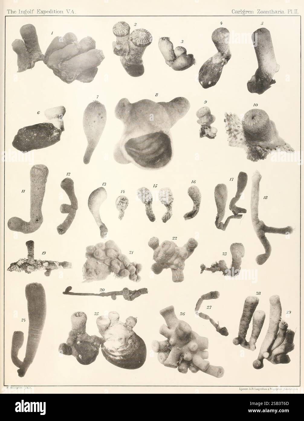 Various shapes ranging hi-res stock photography and images - Alamy