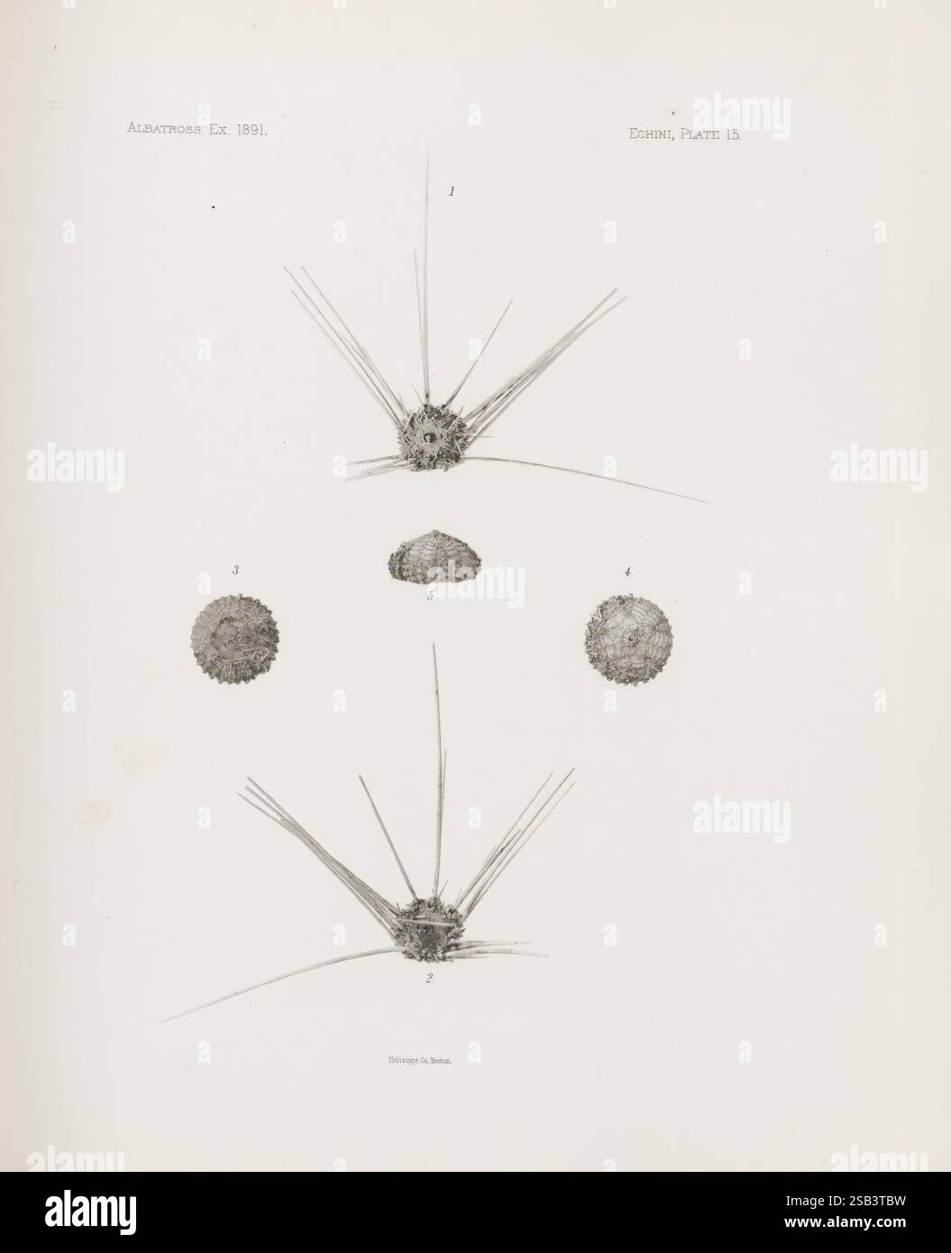 View illustrates variations hi-res stock photography and images - Alamy