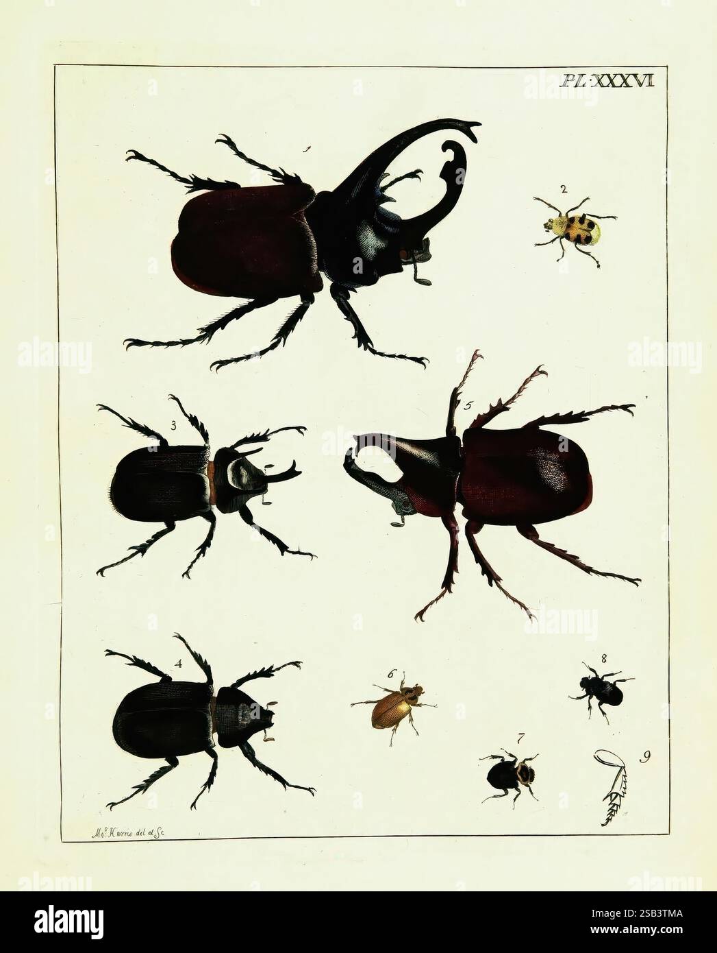 Visually striking illustration featuring hi-res stock photography and ...