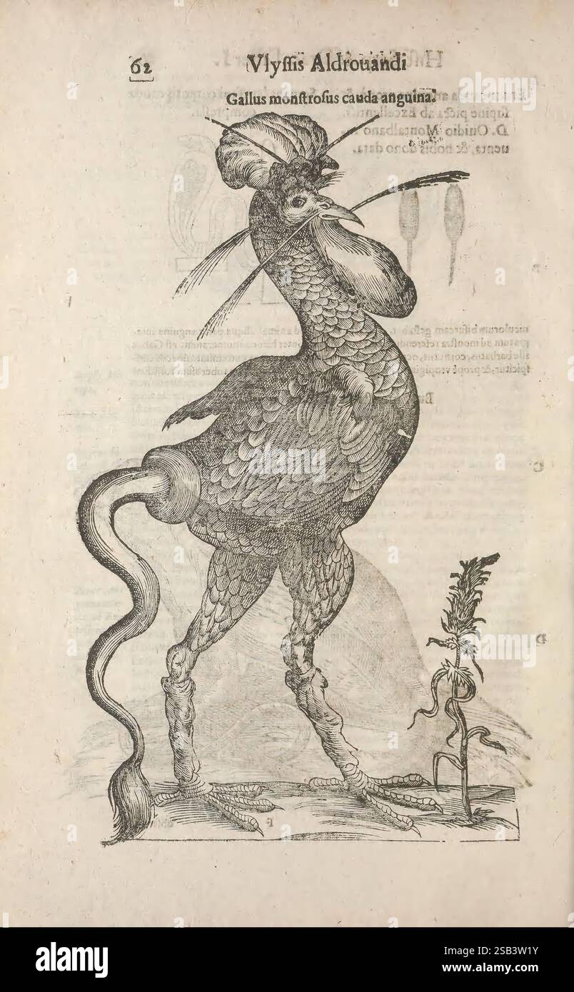 Creatures body combines characteristics hi-res stock photography and ...