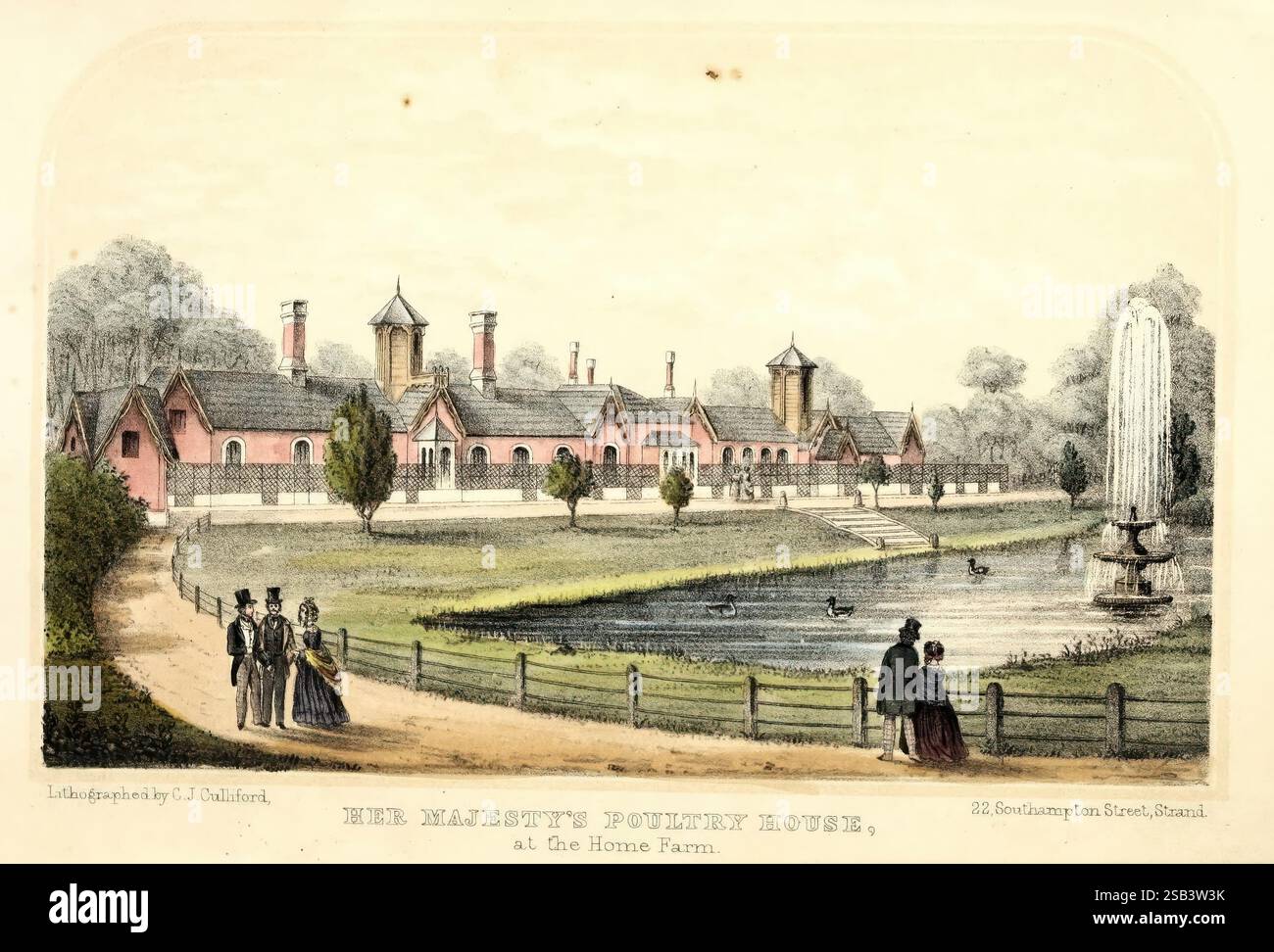 Ferguson's Illustrated Series of Rare and Prize Poultry London G ...