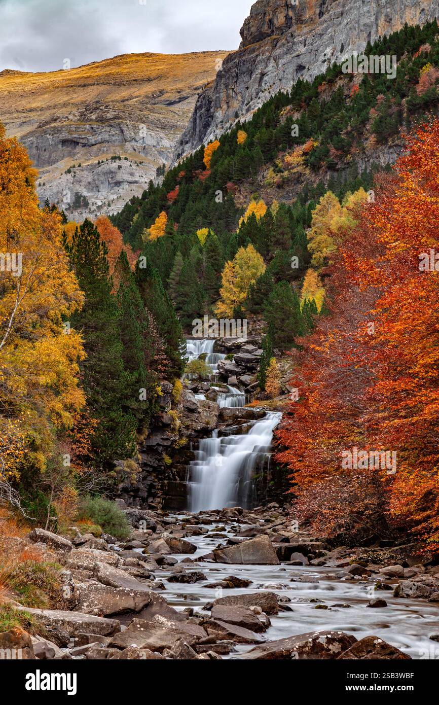 Soaso stands hi-res stock photography and images - Alamy