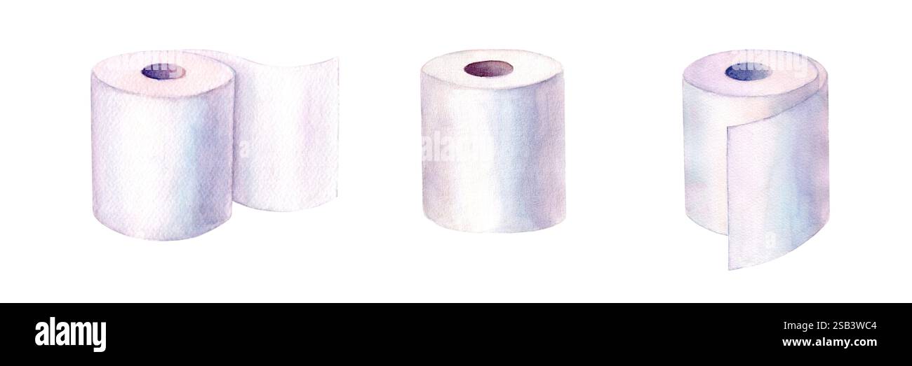Watercolor toilet paper rolls set isolated on white background ...