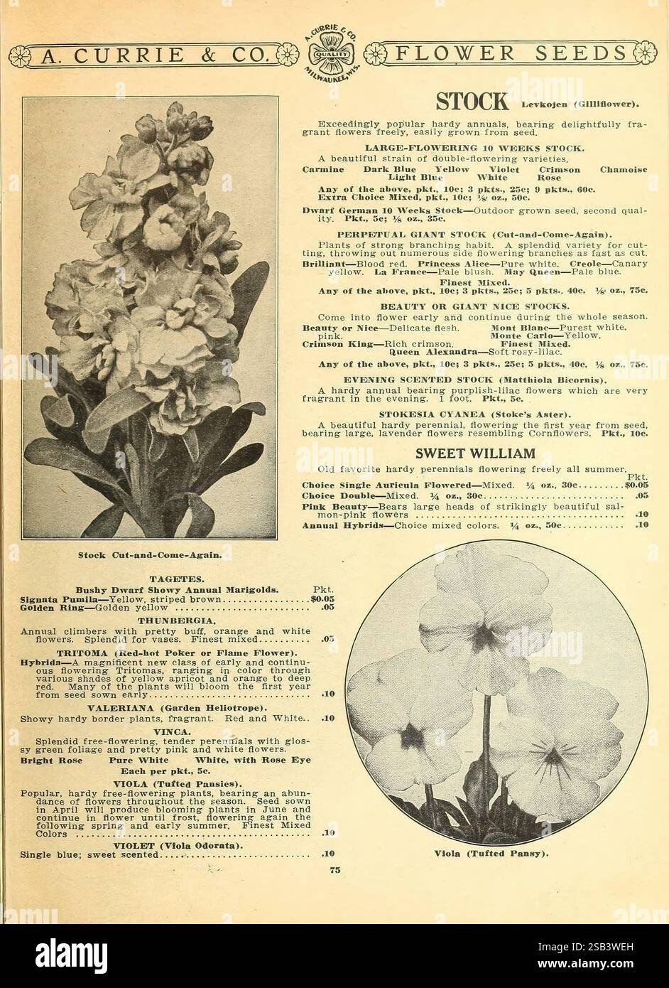 Vintage seed catalog page featuring hi-res stock photography and images ...
