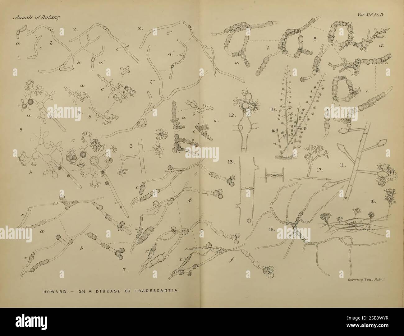 Labeled diagrams of different structures associated hi-res stock ...
