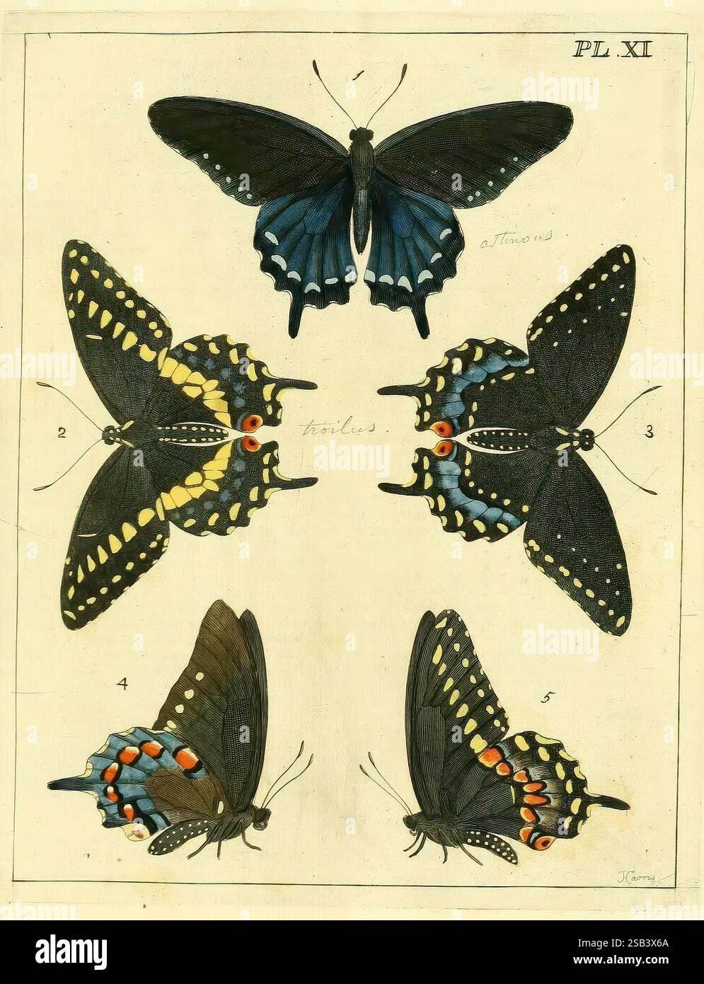 Revealing vibrant shades hi-res stock photography and images - Alamy