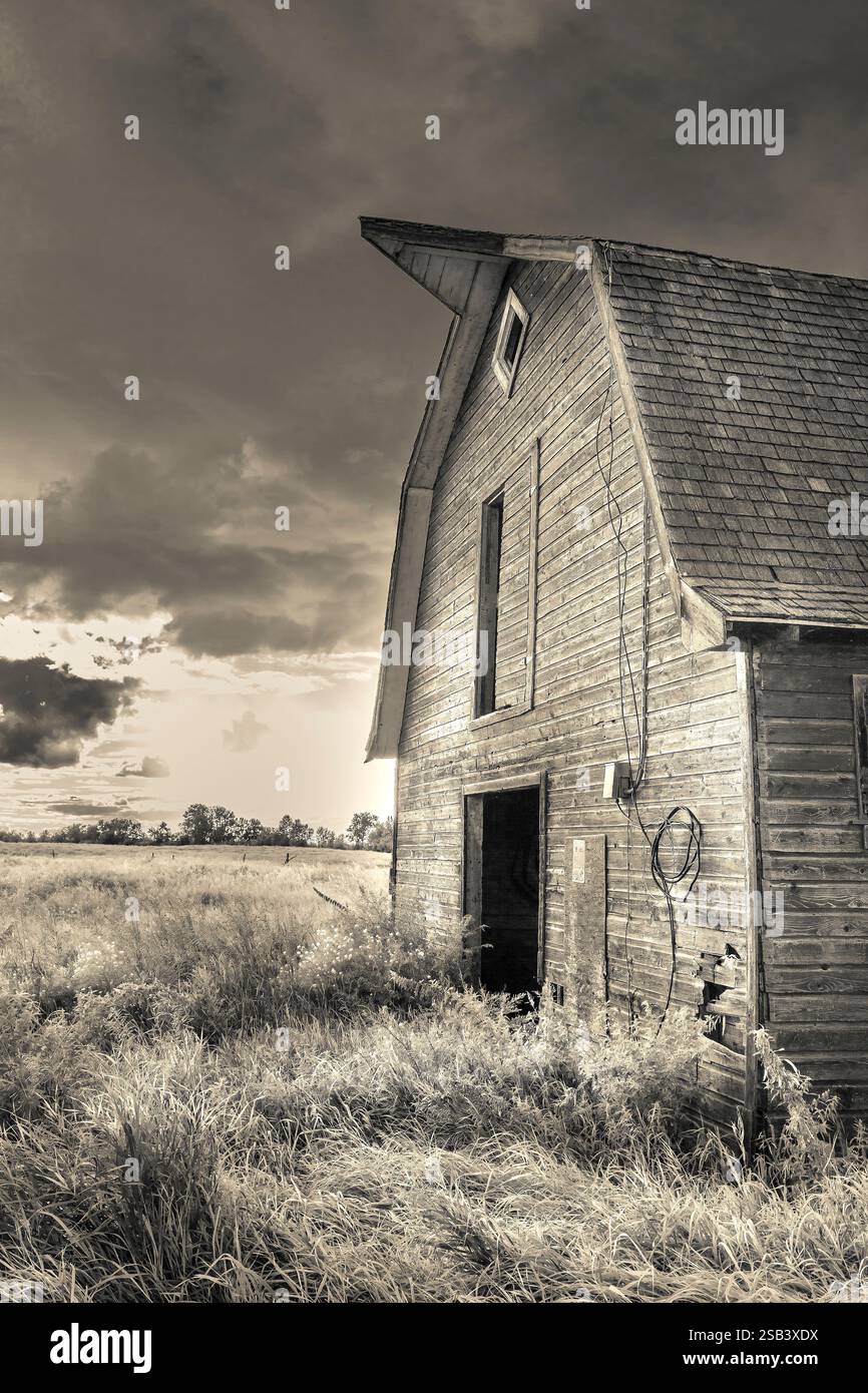 A barn with a large roof and a small door. The barn is old and has a ...