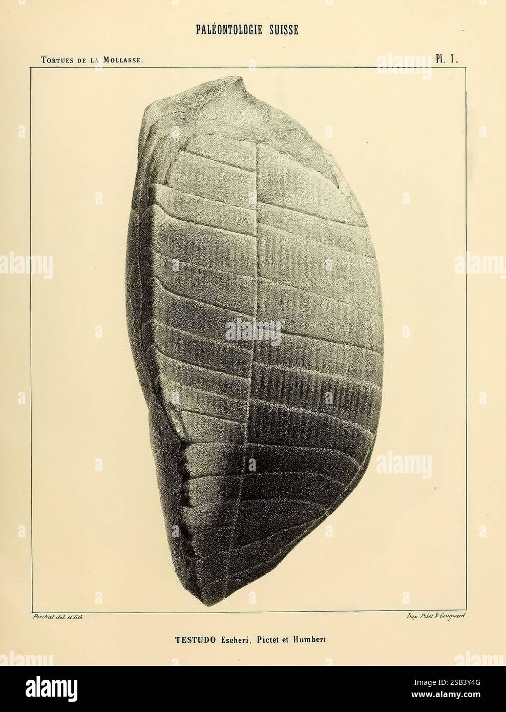 Label referencing hi-res stock photography and images - Alamy