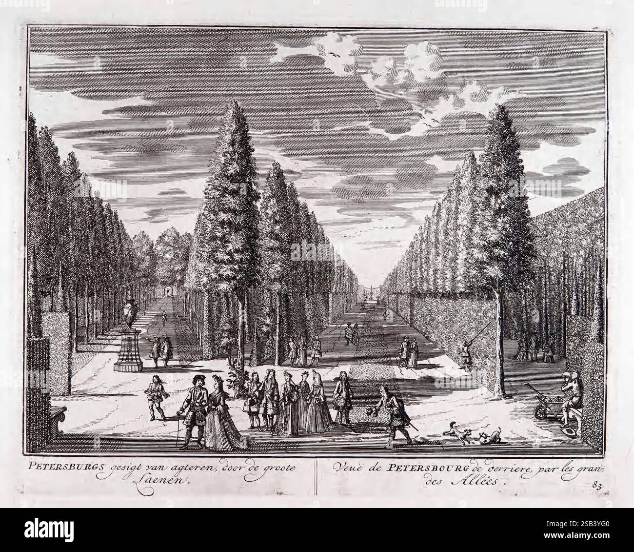 Symmetrical trees lining hi-res stock photography and images - Alamy