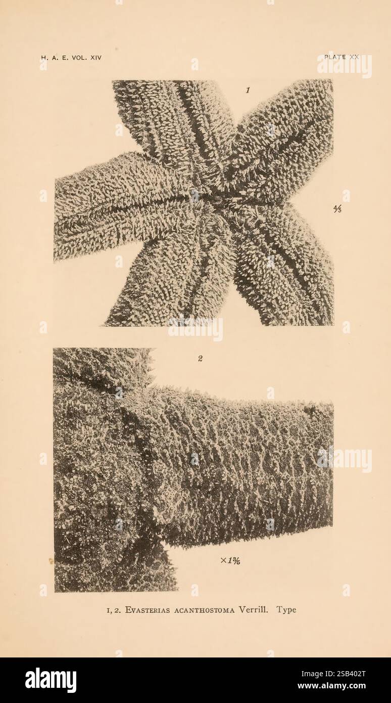 Harriman Alaska series. Washington, 1910-1914. Alaska, natural history ...