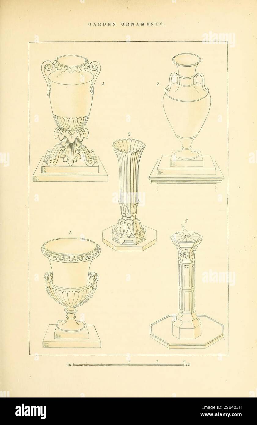 Paxton's Magazine of Botany London Orr and Smith Botany Periodicals ...