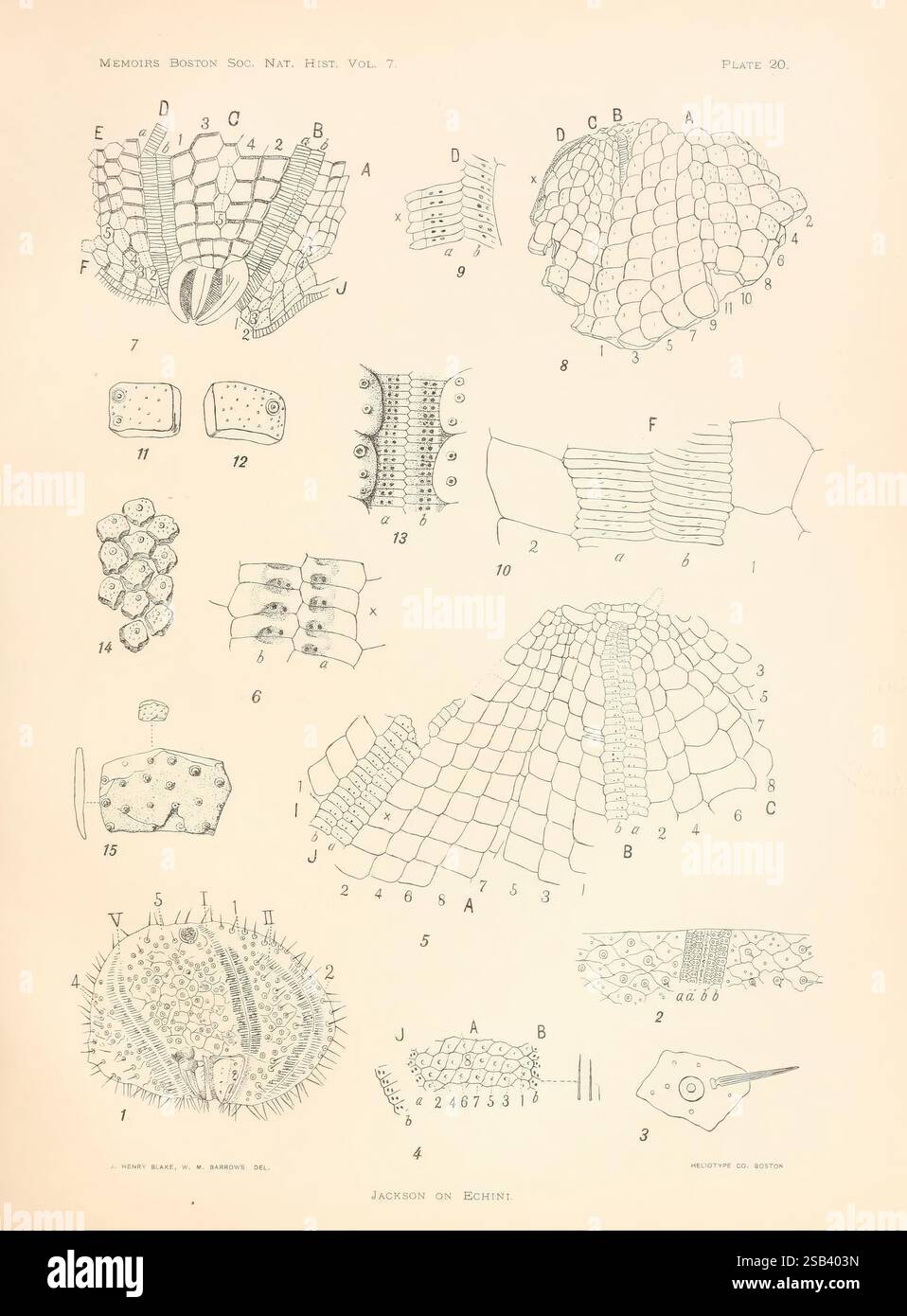 Visual representation combines precision hi-res stock photography and ...