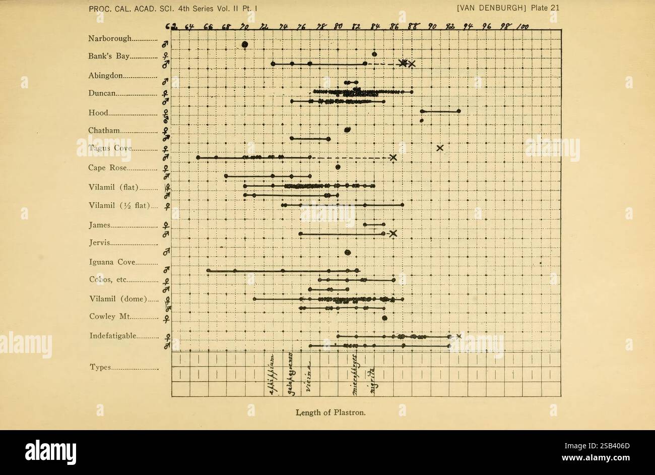 The gigantic land tortoises of the Galapagos Archipelago 1914 Galapagos ...