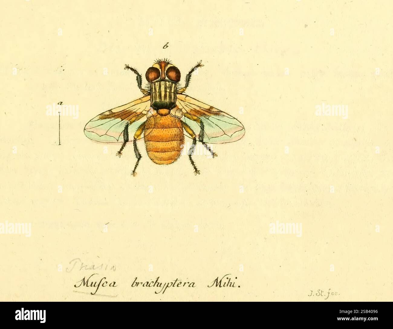 Further notation hi-res stock photography and images - Alamy