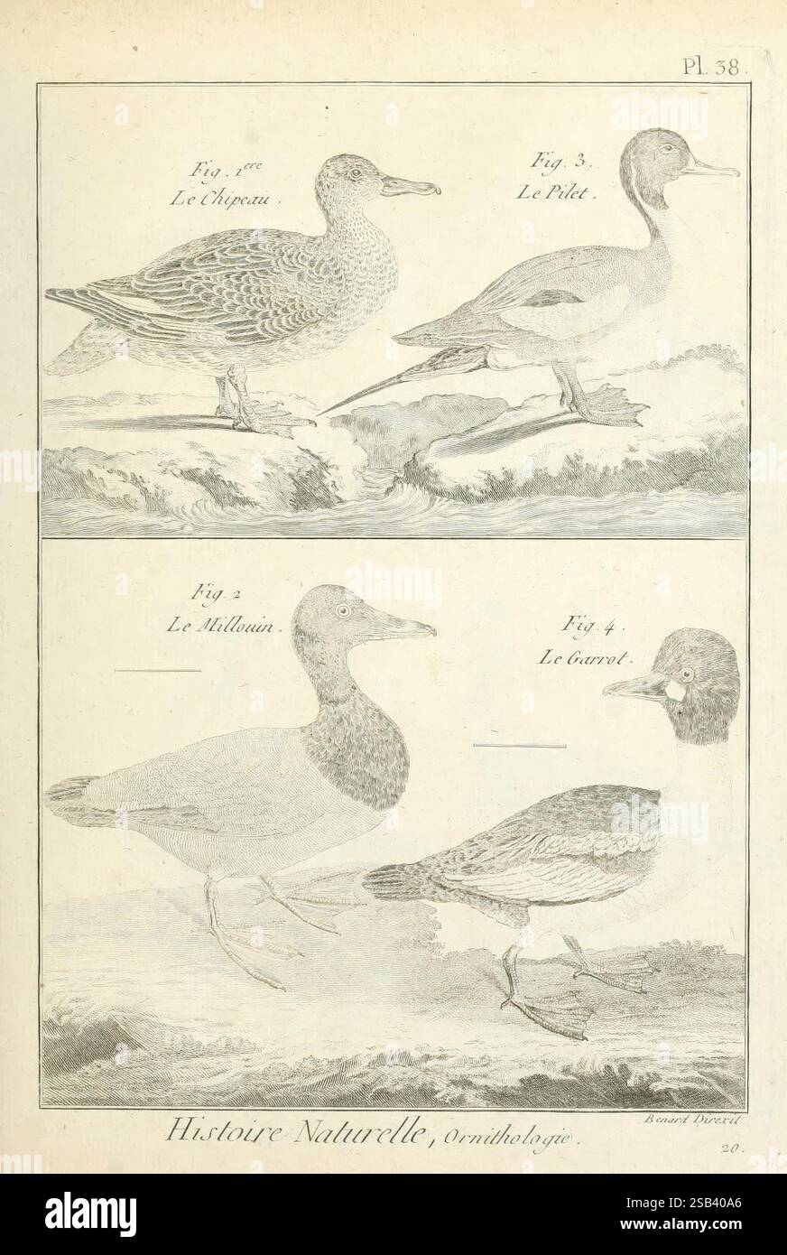 Tableau encyclopédique et méthodique des trois règnes de la nature, A ...