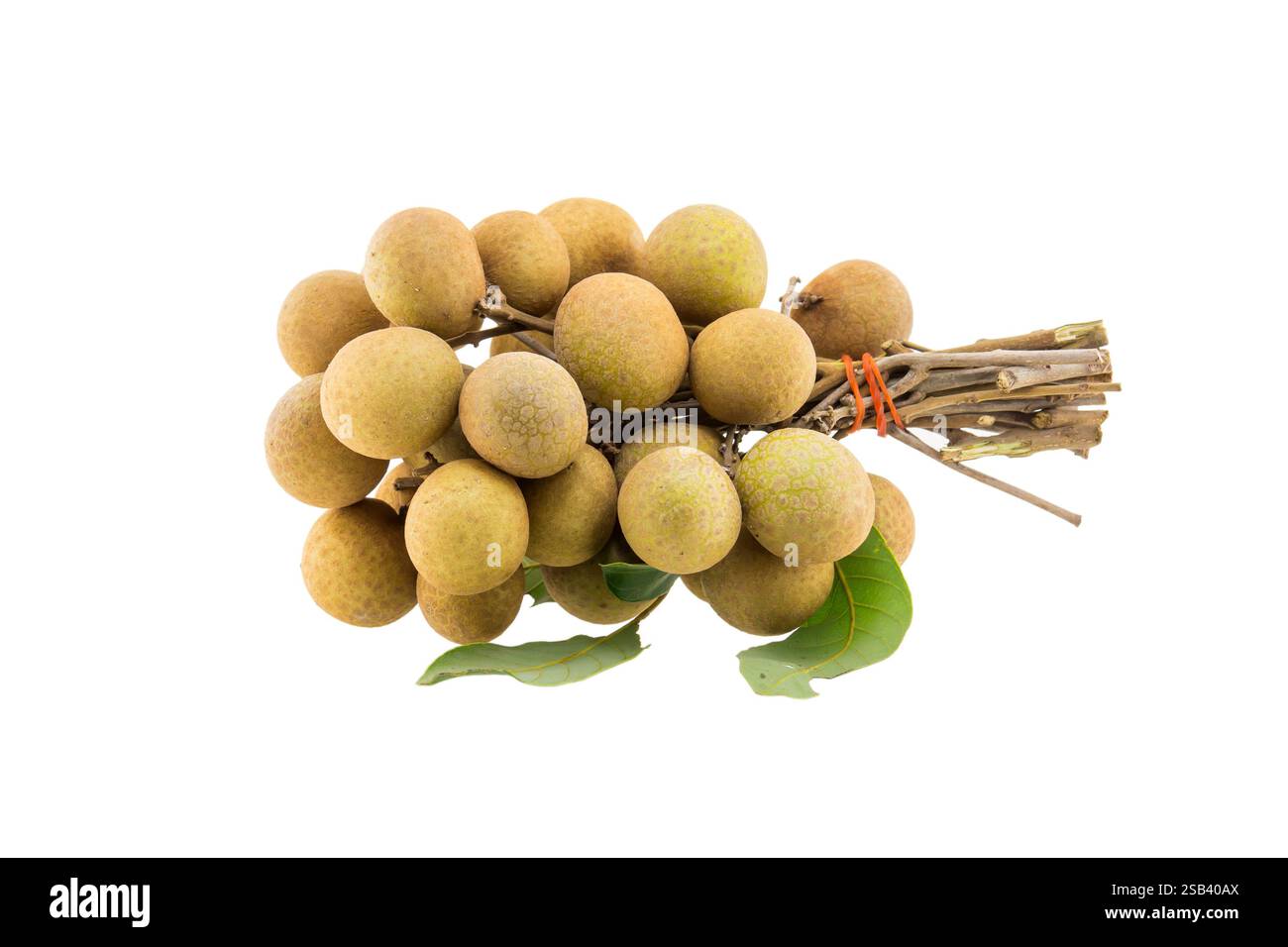 longan isolated on a white background Stock Photo - Alamy