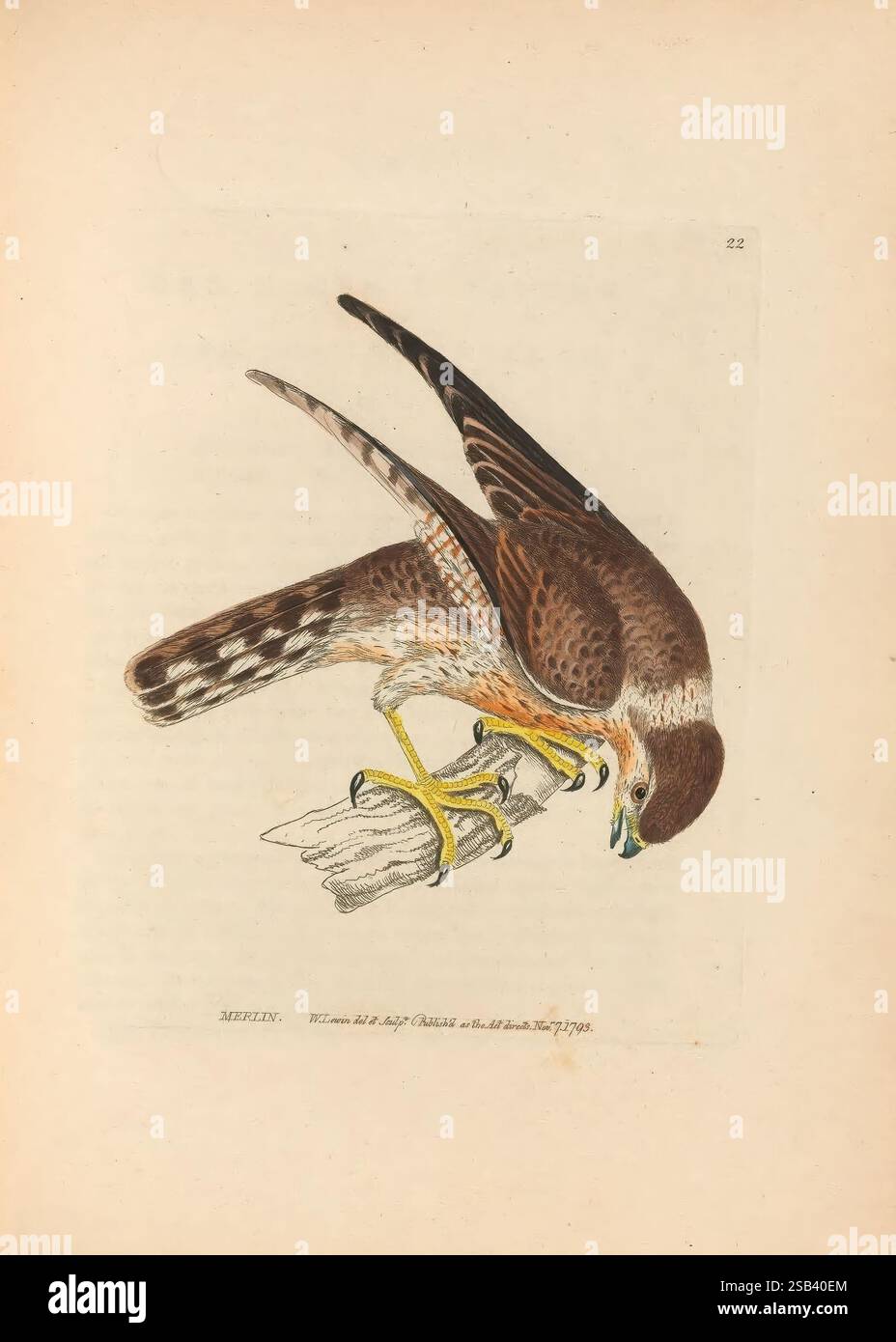 Scientific annotations detailing hi-res stock photography and images ...