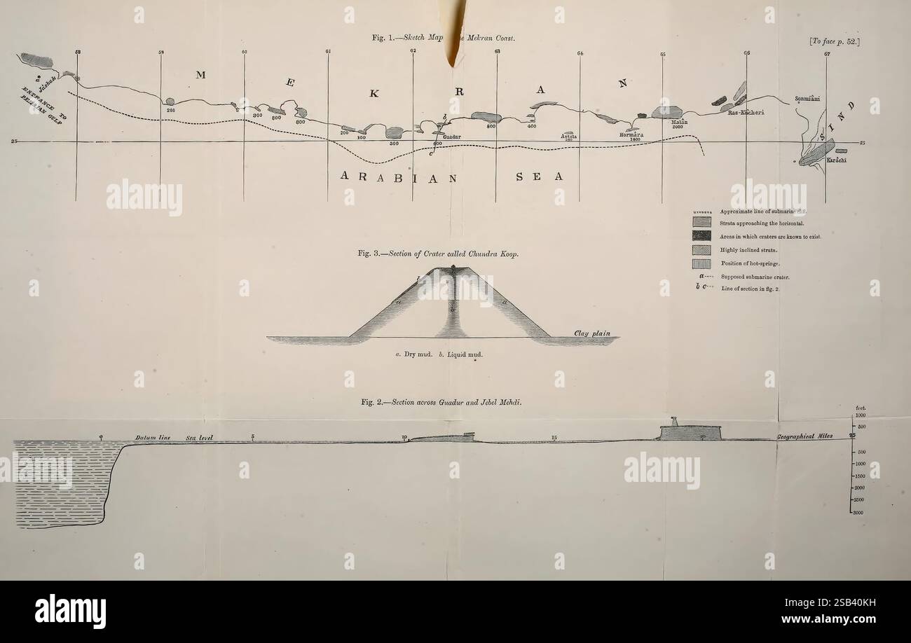 Cross section view labeled hi-res stock photography and images - Alamy