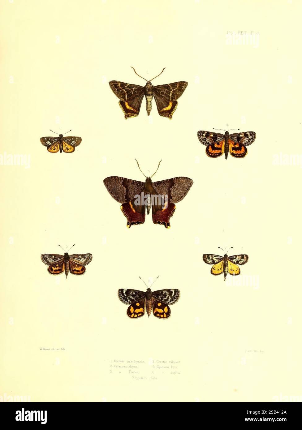 Artfully positioned hi-res stock photography and images - Alamy