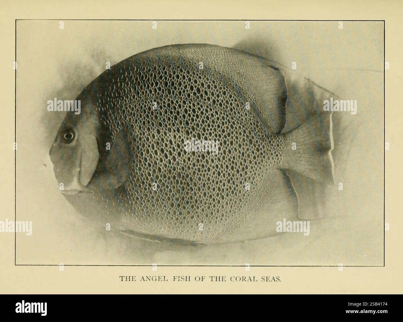 Slight seas hi-res stock photography and images - Alamy