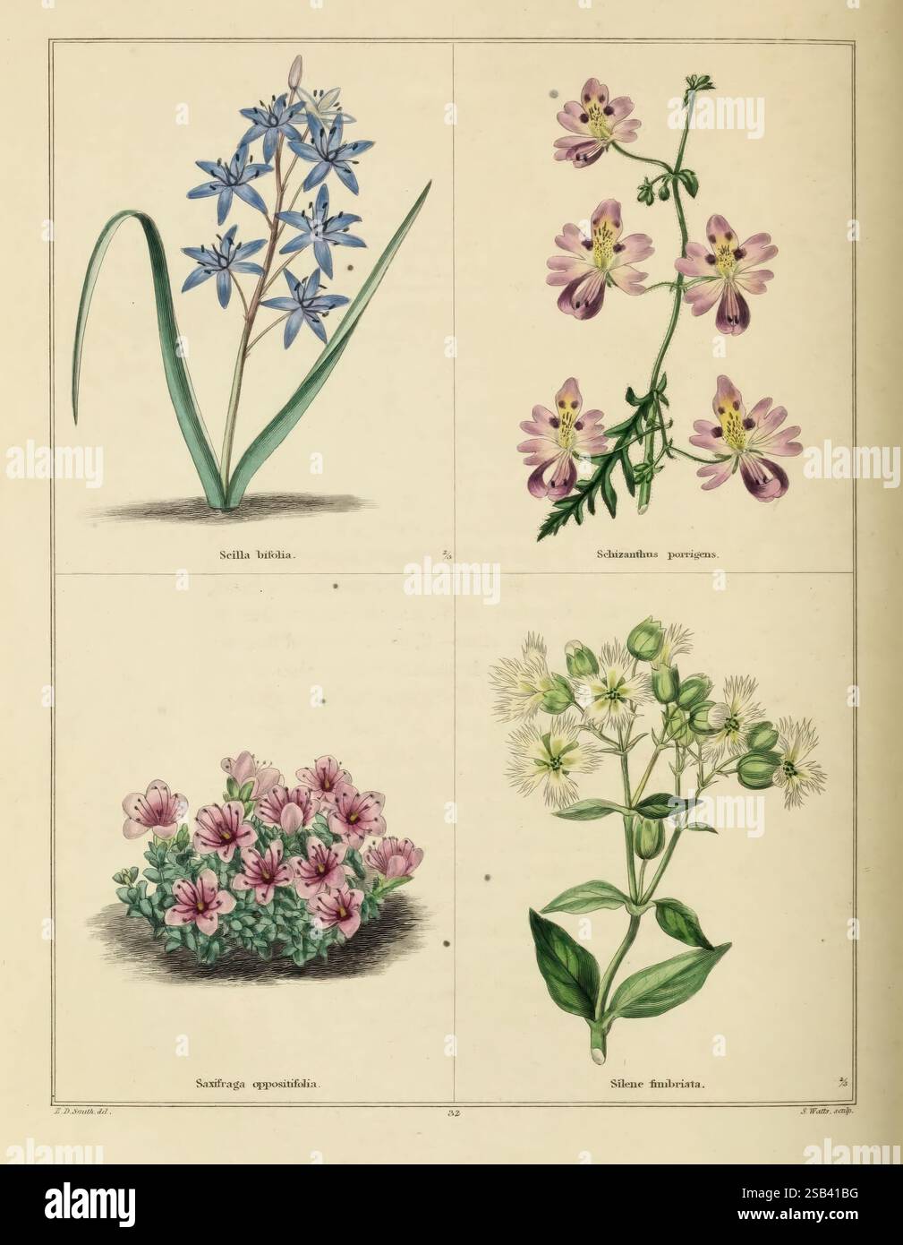 The botanic garden, London, Simpkin & Marshall, 1825, botany ...