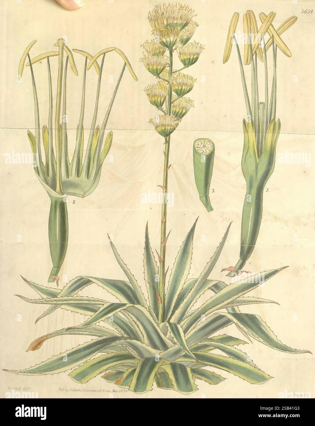 Multiple detailed drawings hi-res stock photography and images - Alamy