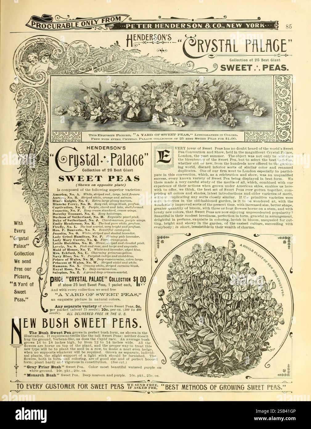 Decorative flourishes enhance hi-res stock photography and images - Alamy