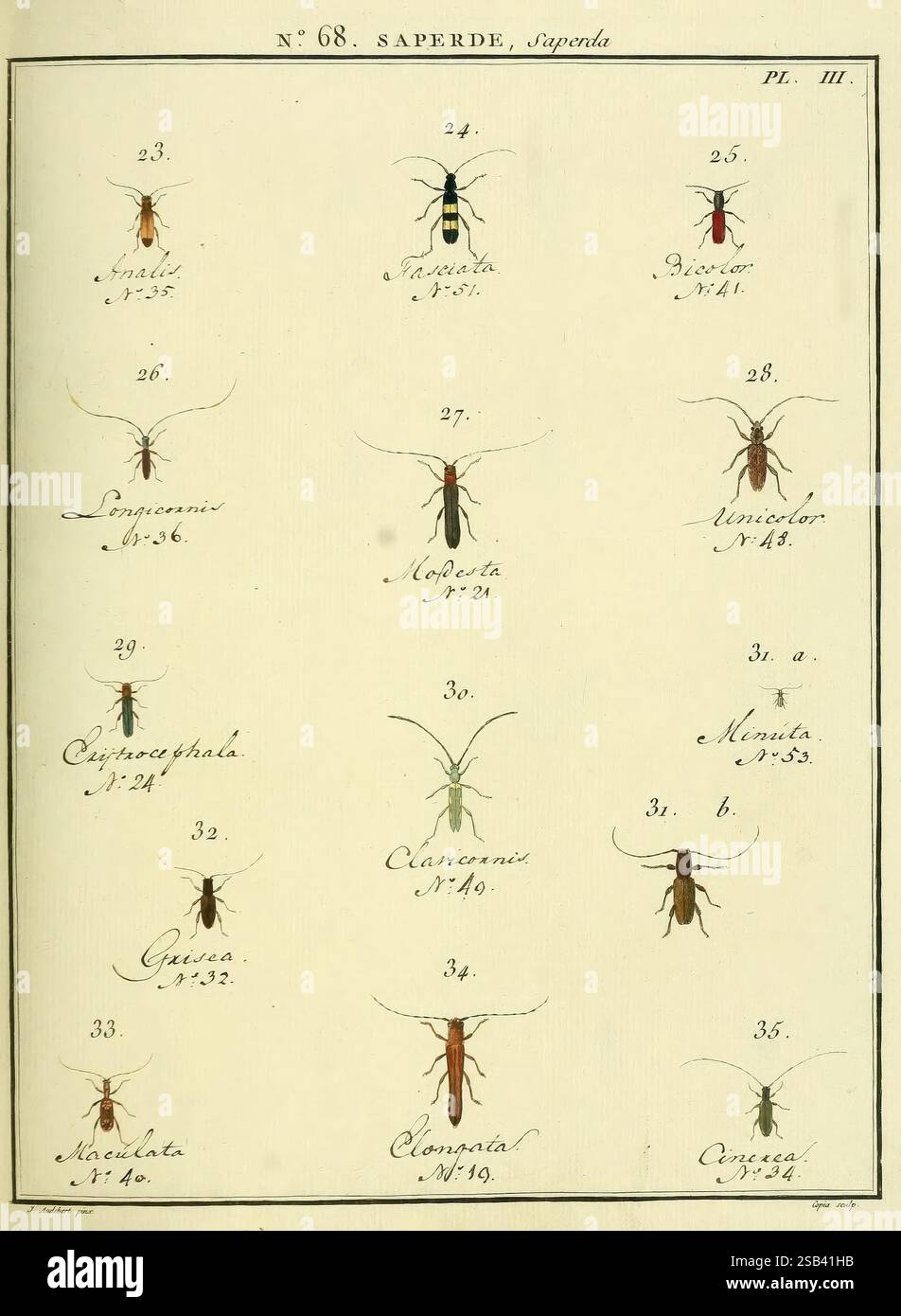 Entomologie, ou, Histoire naturelle des insectes, A Paris, De l ...