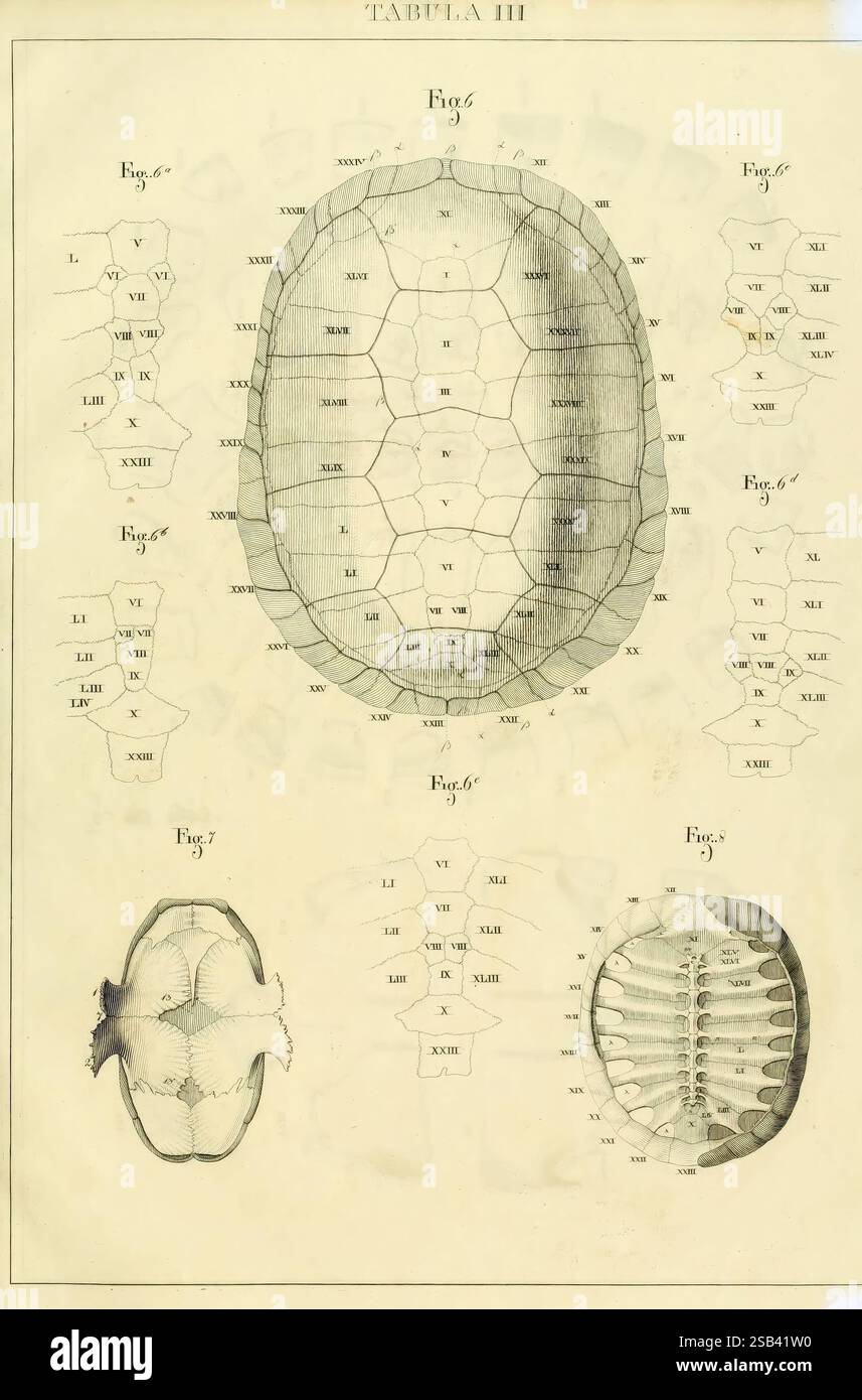 Identify specific regions hi-res stock photography and images - Alamy