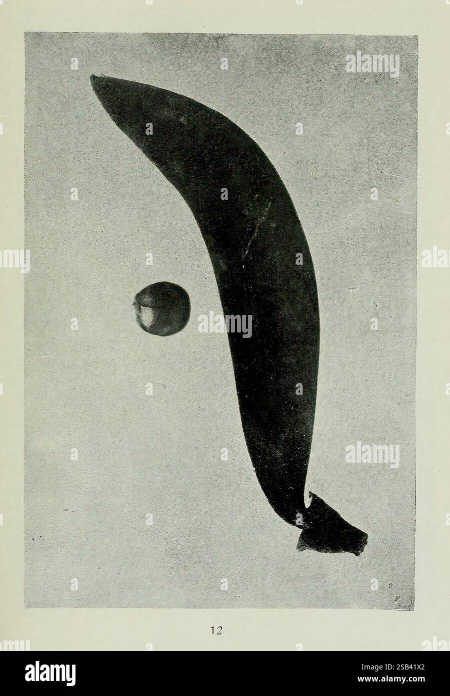 Dynamic interplay of curved forms hi-res stock photography and images ...