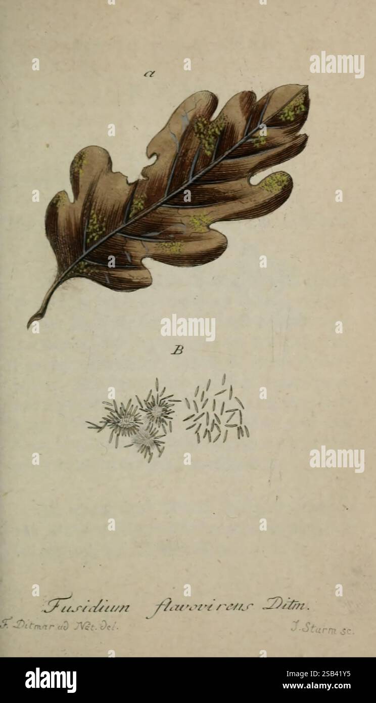 Separate study displays hi-res stock photography and images - Alamy