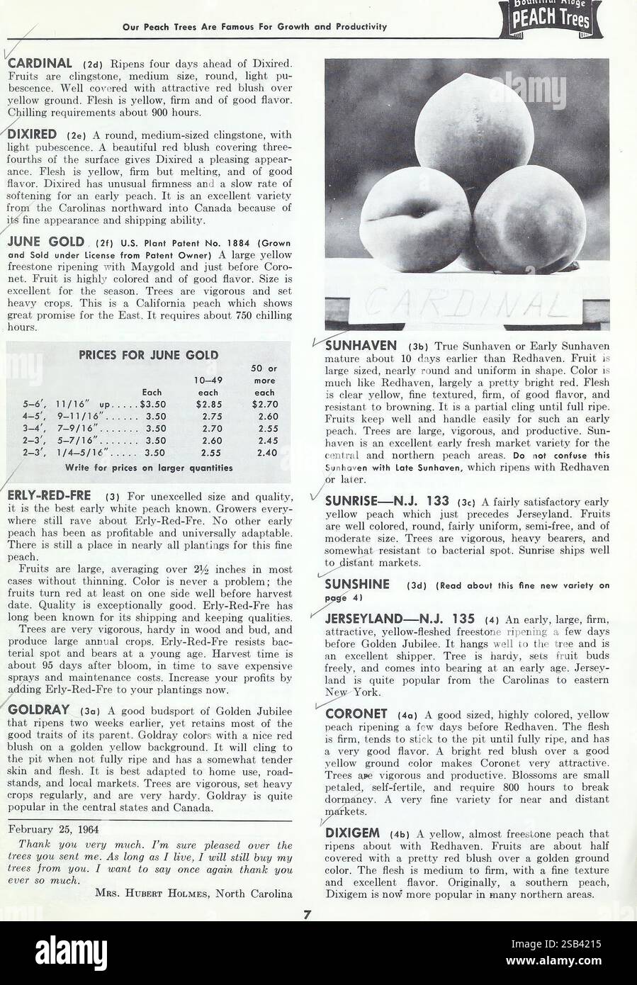 Planting guide, Princess Anne, Md, Bountiful Ridge Nurseries, 1964 ...