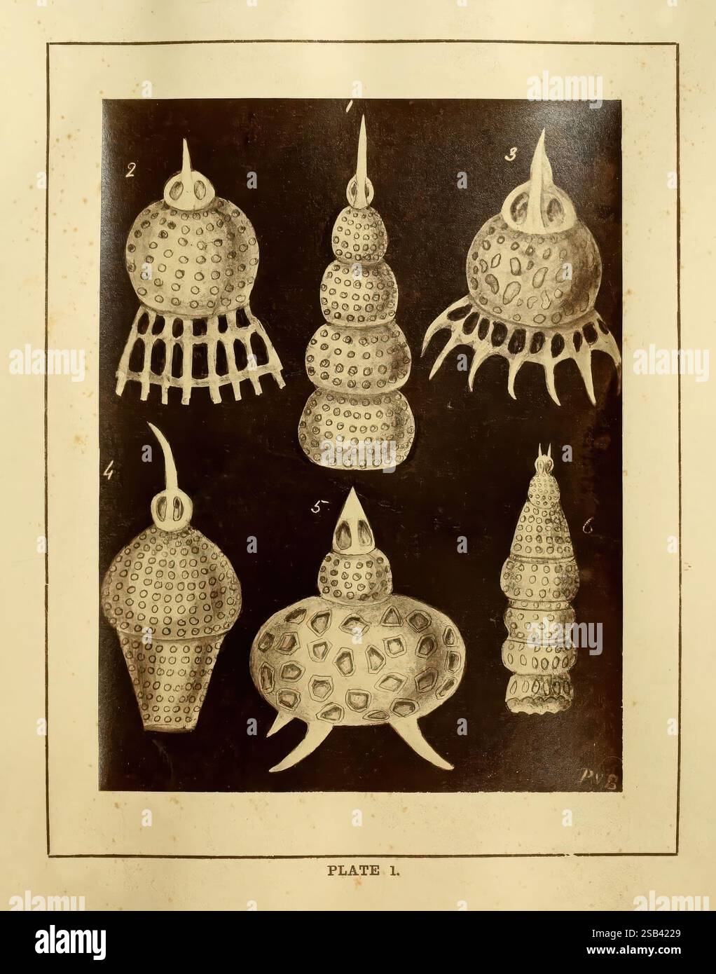 Varied structural forms hi-res stock photography and images - Alamy