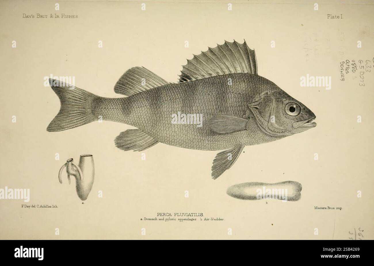 The fishes of Great Britain and Ireland, Edinburgh, 1880-1884, Great ...