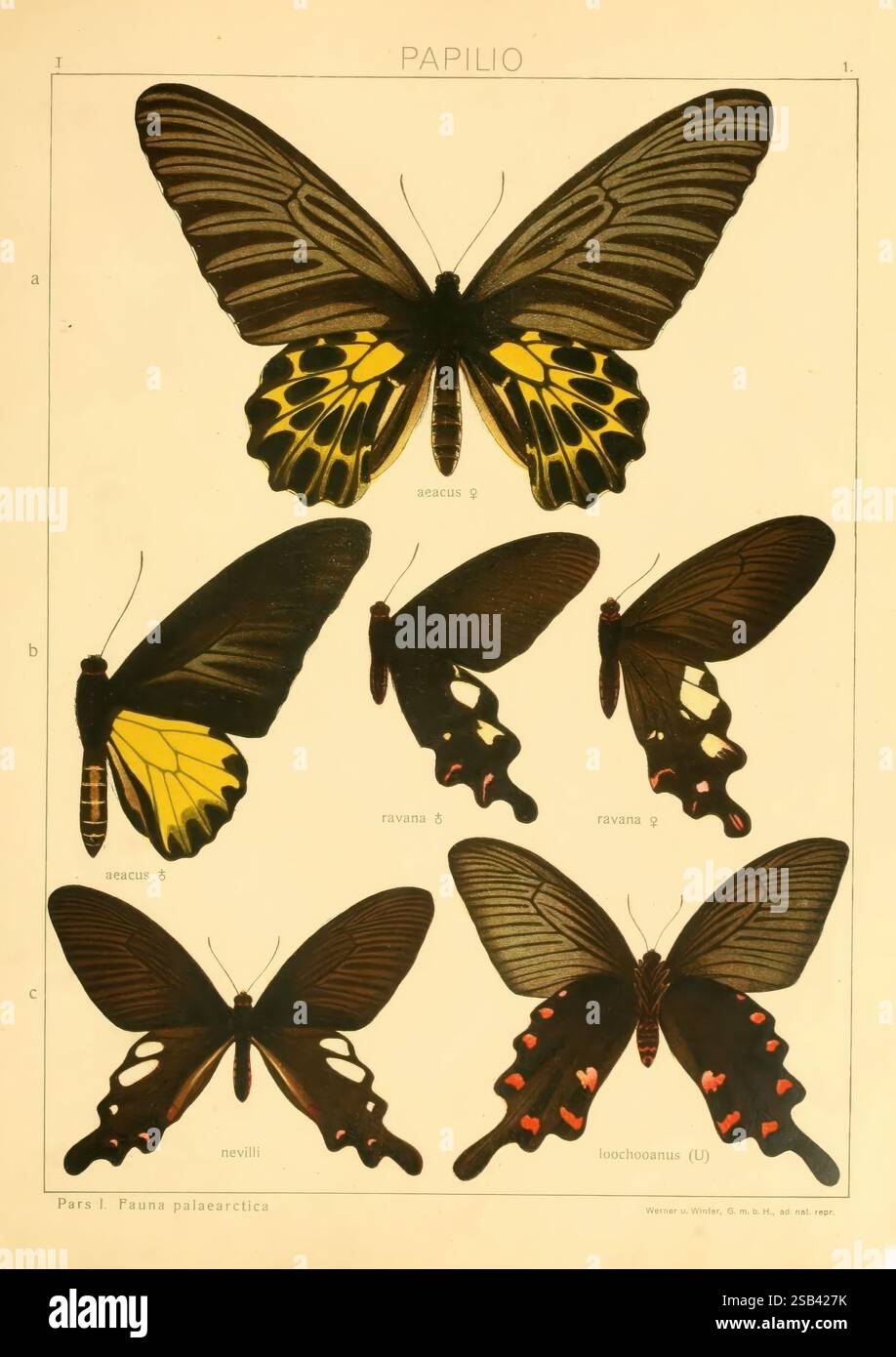 Upper pair exhibits hi-res stock photography and images - Alamy