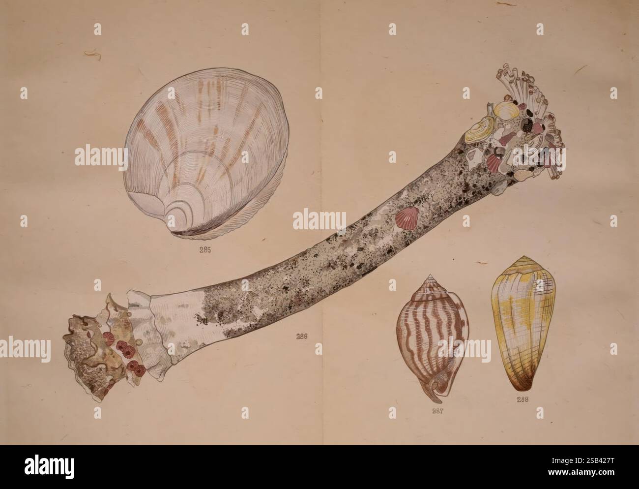 Kaisenshu Kyoto Yamada Naozoburo 1914-1915 catalogs collections Japan ...