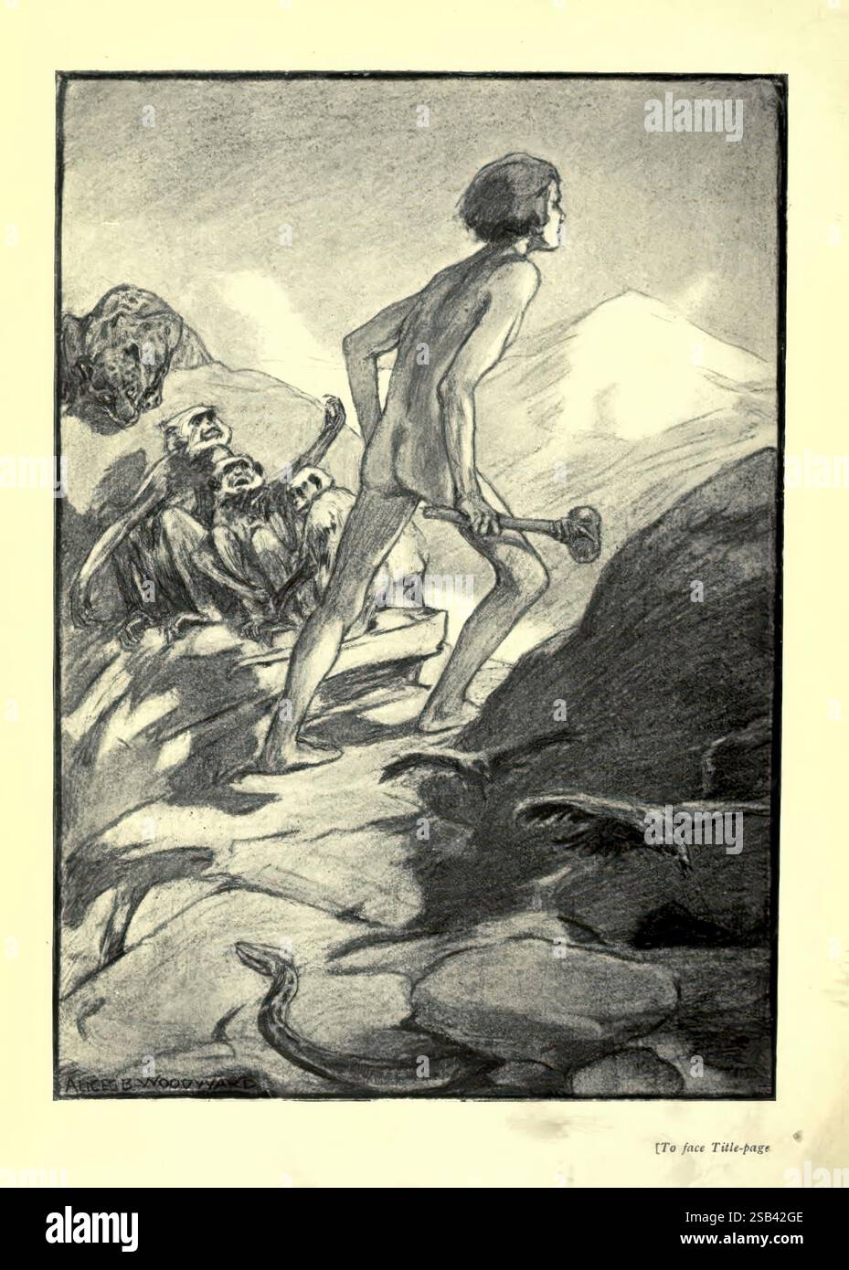 Primordial setting hi-res stock photography and images - Alamy